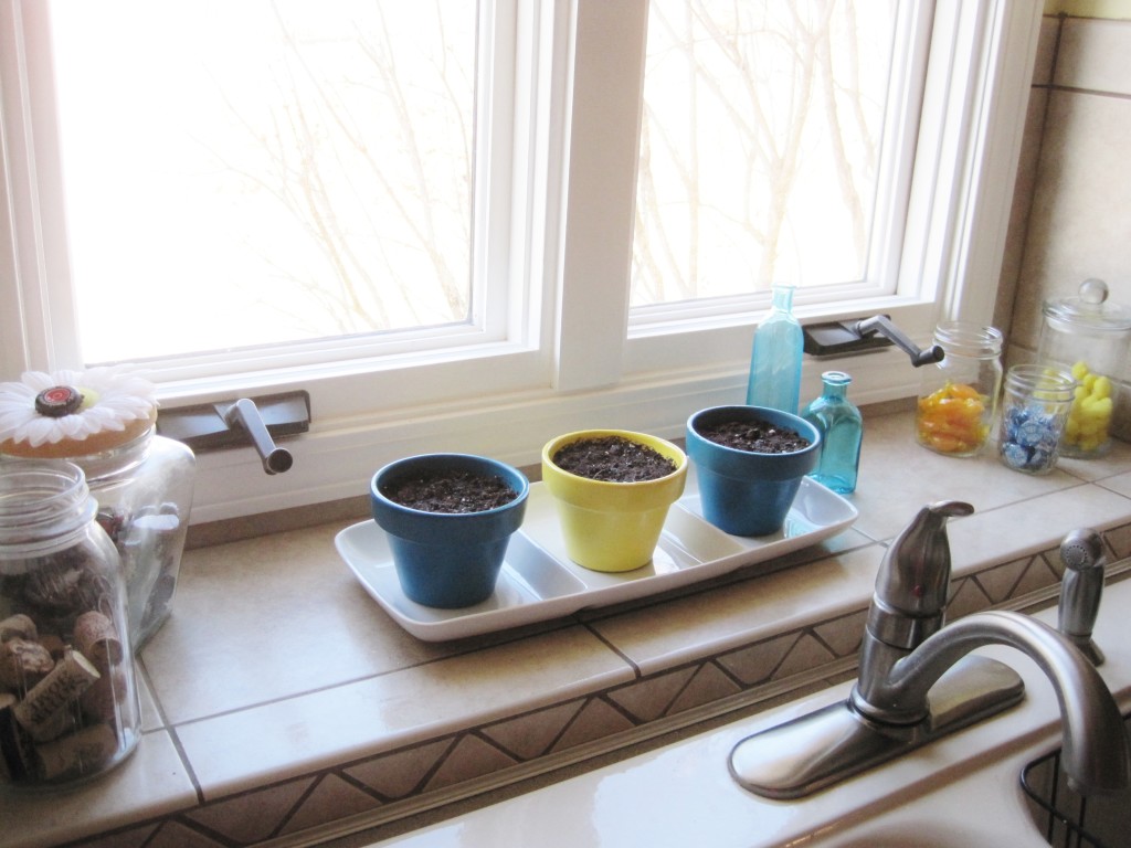 Planting the Seeds of Spring - Loving Here