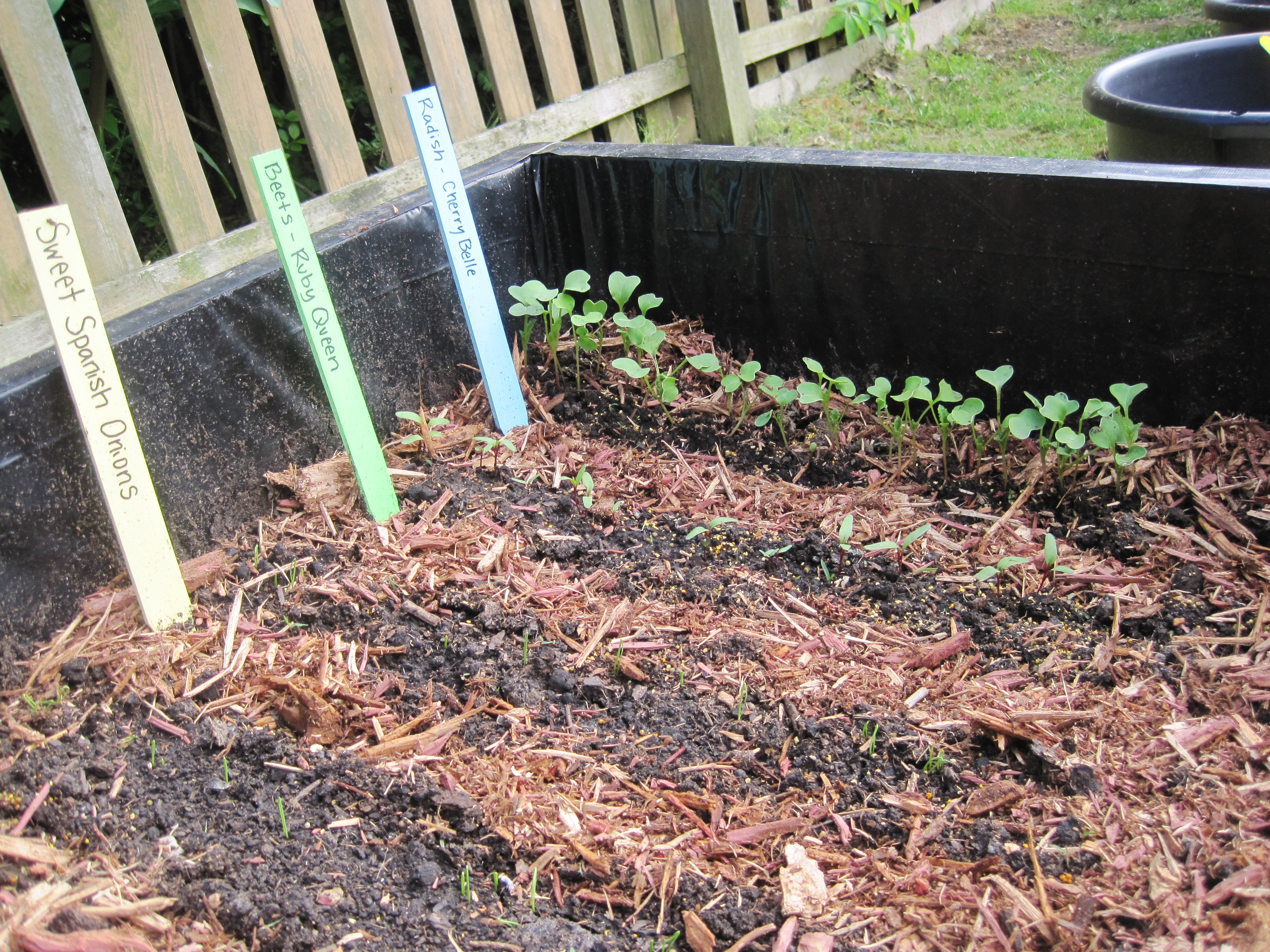 Growing The Garden - Loving Here